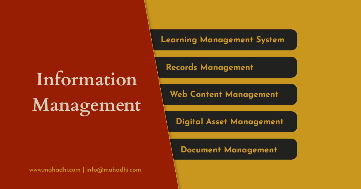 Information Management Consulting Service in Chennai